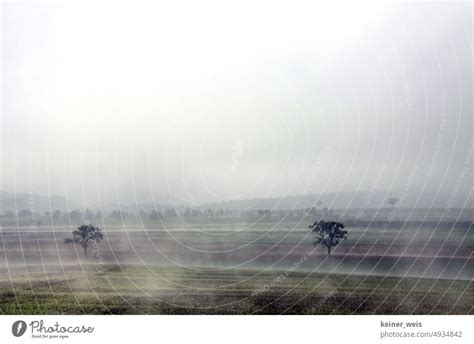 Nebel über Landschaft mit Bäumen und Acker im Herbst - ein lizenzfreies ...