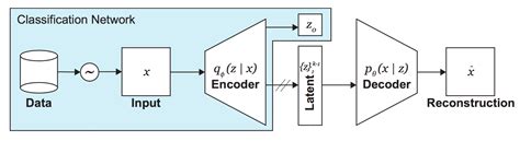 Uncovering Bias And Uncertainty In Model Using Semi Supervised VAEs Muhammad Waseem Blog