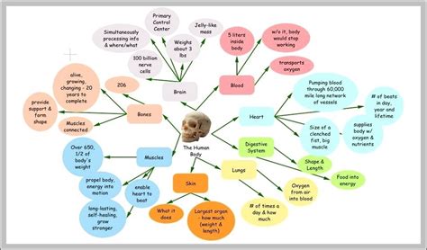 Human Body Systems Concept Map United States Map