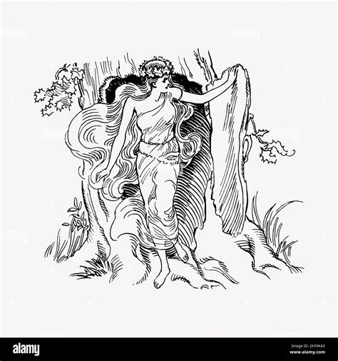 Dryad Nymph Clipart Vintage Hand Drawn Vector Stock Vector Image And Art Alamy