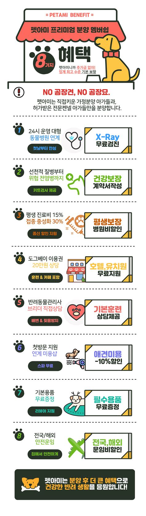 동탄점 포메라니안 뽀미 펫아미 강아지분양 고양이분양