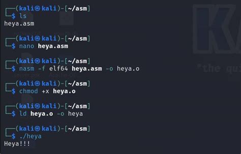 Akash Singh On Linkedin Reverseengineering Assemblylanguage Linux