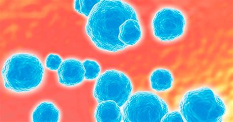 Hospitals Failing On Mrsa Superbug Targets Missed By 120 Nhs Trusts In England According To