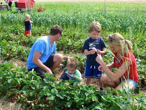 Зуны даалгаврыг зугаатай аргаар хийлгэвэл хүүхдэд ачаалал болохгүй