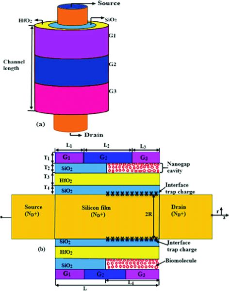 A 3 D Schematic Structure And B 2 D Cross Sectional View With Cavity