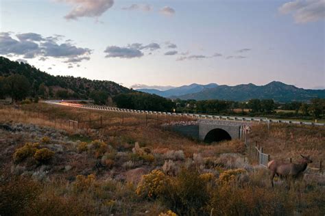 Wildlife Corridors 101 Everything You Need To Know Ecowatch