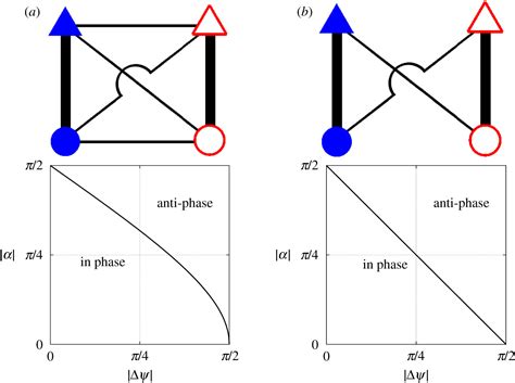 Anti Phase Collective Synchronization With Intrinsic In Phase Coupling Of Two Groups Of