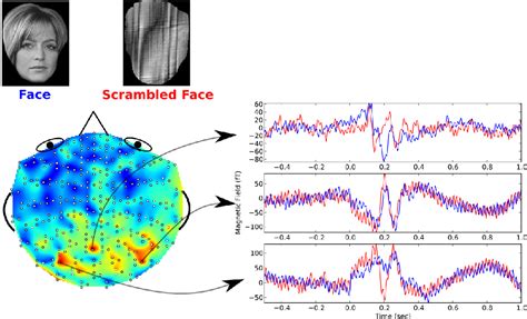 Figure 1 From Inter Subject Meg Decoding For Visual Information With Hybrid Gated Recurrent