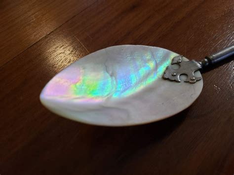 Mother Of Pearl Shell Spoon Large Serving Spoon Riveted Silver Handle