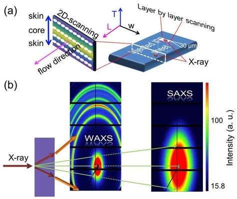 A Geometry Of The Injection Molded IPP Samples Used For X Ray Download Scientific Diagram