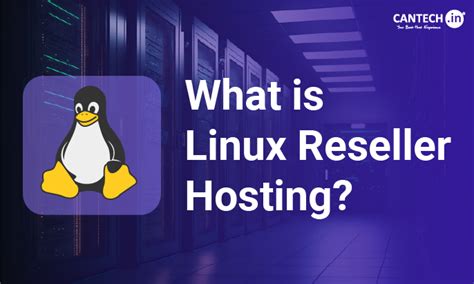 What Is Linux Reseller Hosting Best Plans Where To Buy