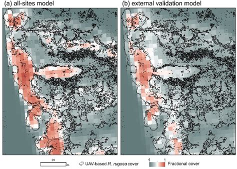 Comparison Of Xgboost Model Predictions For R Rugosa Fractional Cover