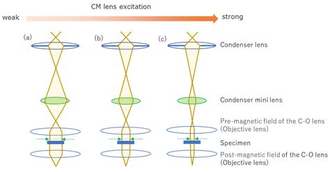 Define Condenser In Microscope At Alice Hager Blog