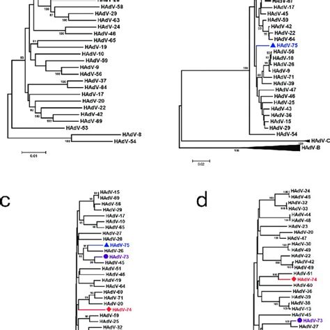 similarity plot a and bootscan analysis b of the hadv d74