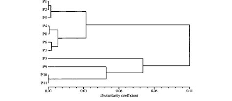upgma derived dendrogram showing the clustering of the 11 populations