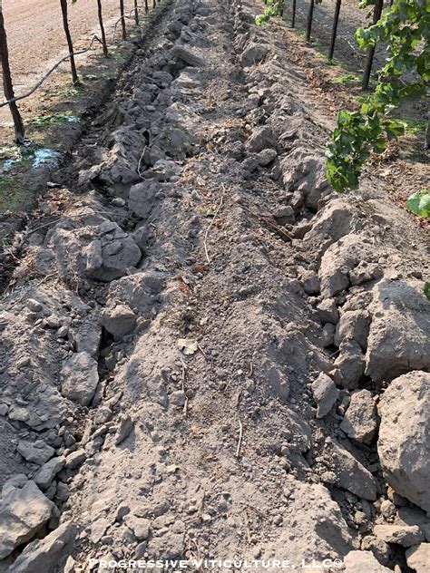 Soil Compaction A Stealthy Thief Lodi Growers