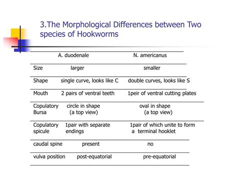 Ppt Hookworms Powerpoint Presentation Free Download Id 421012