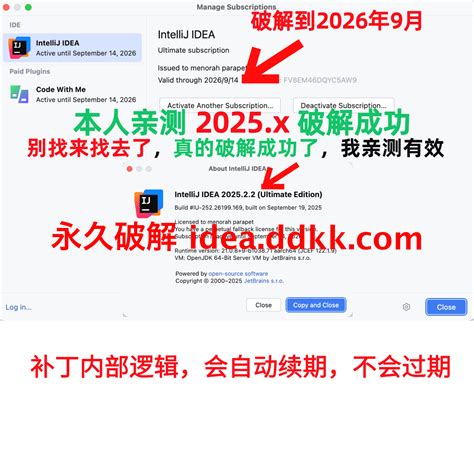 Intellij Idea 20251 永久破解激活教程（winmac） 亲测有效，轻松解决激活问题！