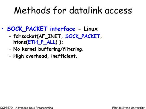 ppt raw sockets datalink access powerpoint presentation free