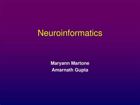 Ppt Neuroinformatics Powerpoint Presentation Free Download Id1377912
