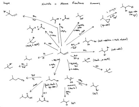 Chem 231 Exam 3 Diagram Quizlet