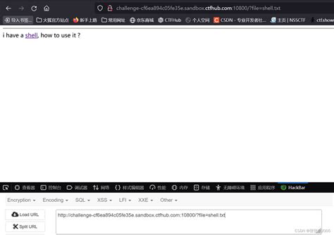 Rce复习（ctfhub上）rce 找到跟目录的flag Csdn博客