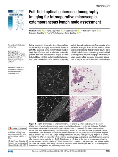 Full Field Optical Coherence Tomography Imaging For Intraoperative Microscopic Extemporaneous