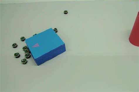 Robot Swarms Hint Towards The Future