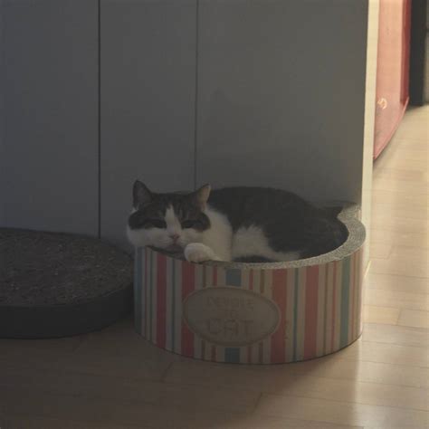 이아린💋 Ahrin 드디어 라이키 오픈했어욤 엄청엄청 고민하다가ㅏ 요즘 😷목이 넘 아파서 방송도 못하구있는데 라이키로는 기침안하구 🤧콧물 안풀구 이쁜 모습으루