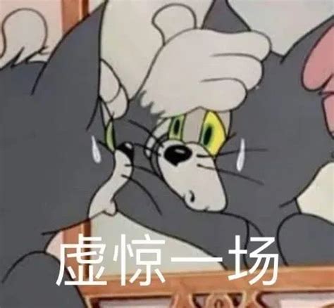 微信常用100种表情包图片大全任你挑选3配图网