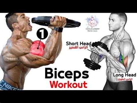An Image Of A Man Doing The Biceps Workout