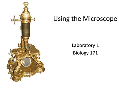 Lab Microscope And Cells