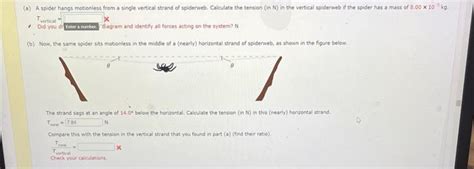 solved a a spider hangs motionless from a single vertical