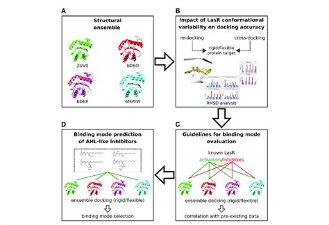 molecular docking workflow a five crystal structures of lasr in