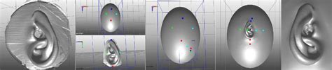 Fusion Of The Ellipsoid Models And The Pinna Models Download