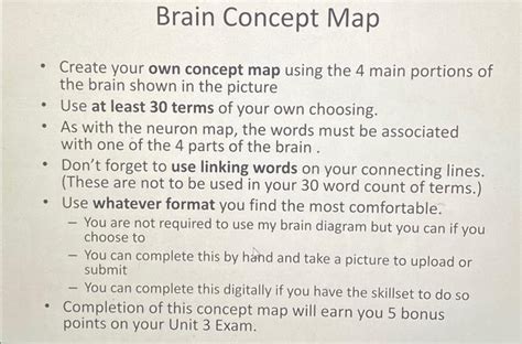 Solved Brain Concept Map Create Your Own Concept Map Using Chegg Com