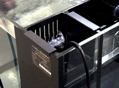 Aquarium Uv Sterilizers This Is How To Get Crystal Clear Water