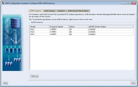 Gurpartap Singhs Blog Create Asm Cluster File System Acfs In Oracle