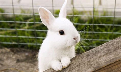 Daily Chat Binance Live