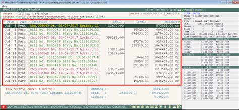 How To View Ledger Transaction Report