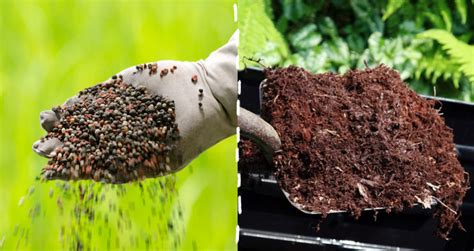Do I Need Fertilizer If I Use Compost Facts Revealed