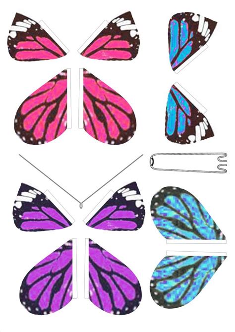 Flutter Flyers Artofit