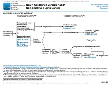 Nccn Clinical Practice Guideline In Oncology Pdf Lung And
