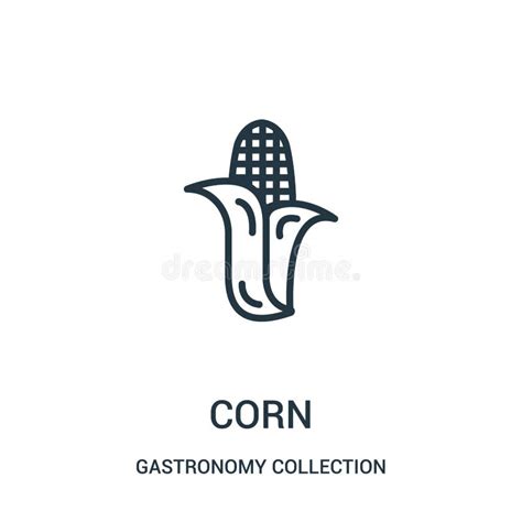 Corn Icon Vector From Gastronomy Collection Collection Thin Line Corn