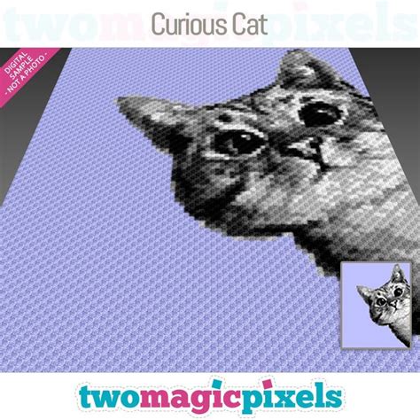 Curious Cat Crochet Graph Cross Stitch C2c Mini C2c Sc Hdc Dc