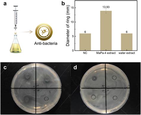 Ultrasonic Assisted Natural Deep Eutectic Solvents As A Green And Efficient Approach For