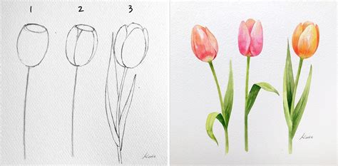Flor Dibujo