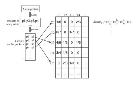 Procedure Of Protein Function Prediction An Example Of Protein Scoring Download Scientific