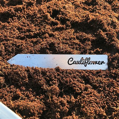 Vegetable Garden Markers Easily Identify Patches 9 Styles