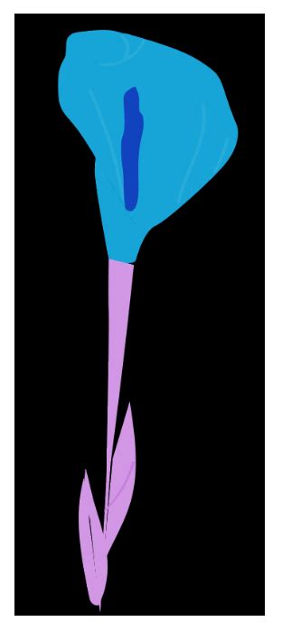 How To Invert Color In Adobe Illustrator Vectors Images